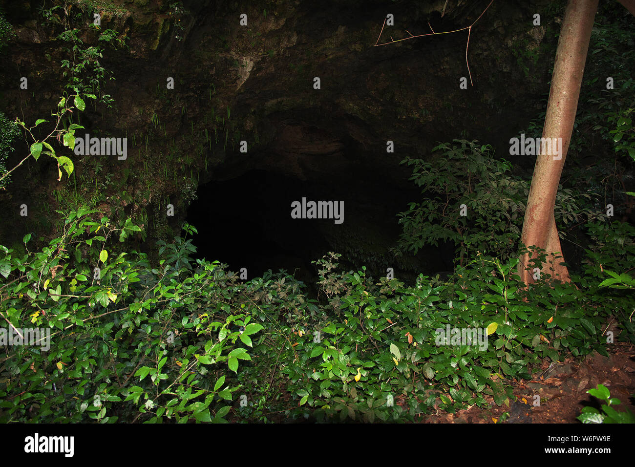 Jomblang cave near Yogyakarta city, Java, Indonesia Stock Photo - Alamy