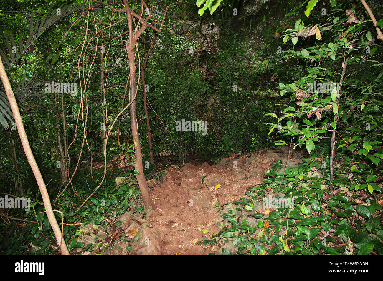 Jomblang cave near Yogyakarta city, Java, Indonesia Stock Photo - Alamy