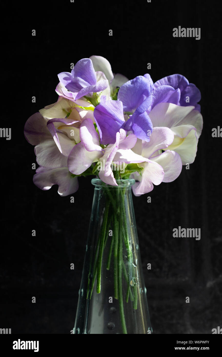 A small, loose arrangement of mixed sweet peas in shades of white and ...