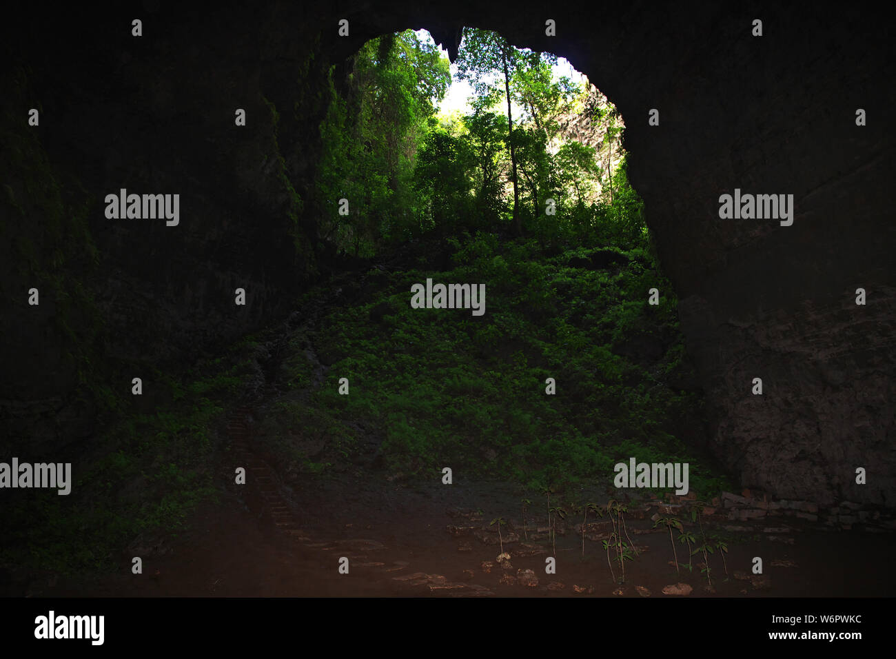 Goa jomblang caves hi-res stock photography and images - Alamy