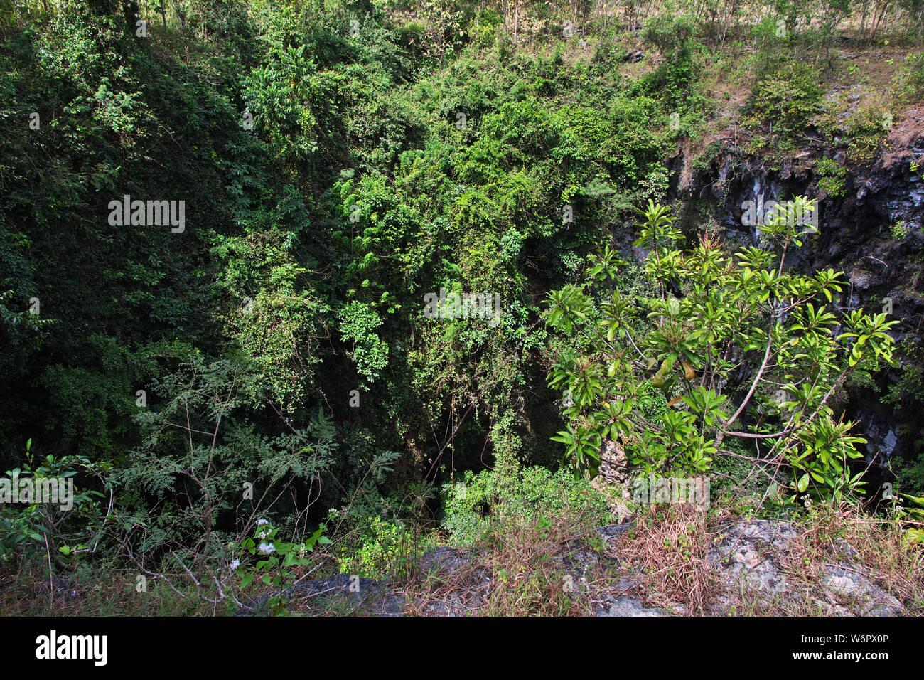 Jomblang cave near Yogyakarta city, Java, Indonesia Stock Photo - Alamy