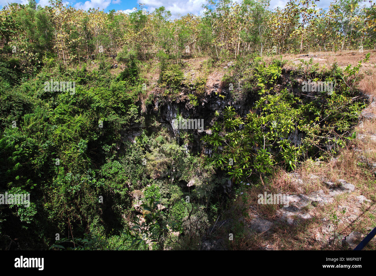 Jomblang cave near Yogyakarta city, Java, Indonesia Stock Photo - Alamy