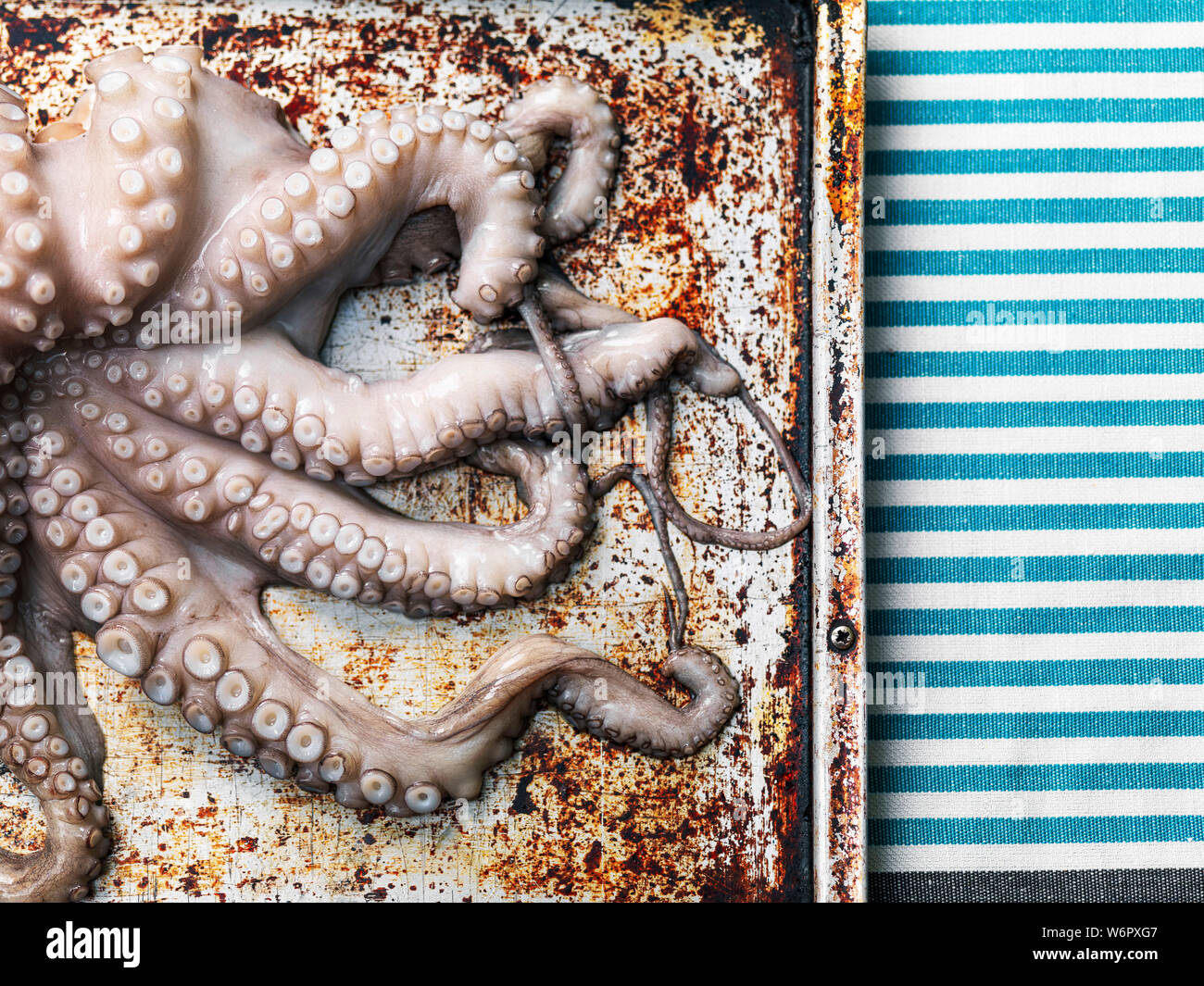 Raw octopus on baking sheet background, top view Stock Photo - Alamy