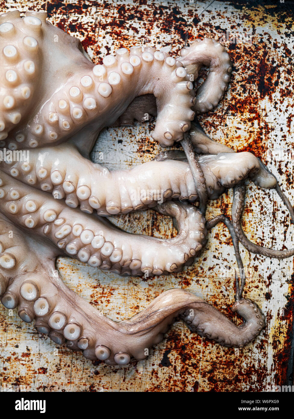Raw octopus on baking sheet background, top view Stock Photo - Alamy