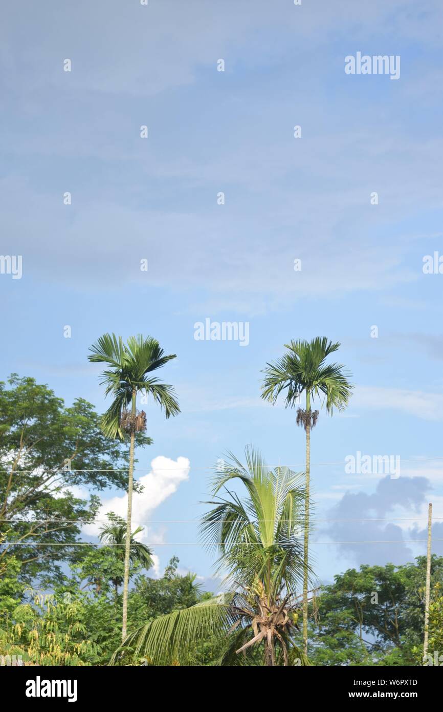 Picture of sky hi-res stock photography and images - Alamy