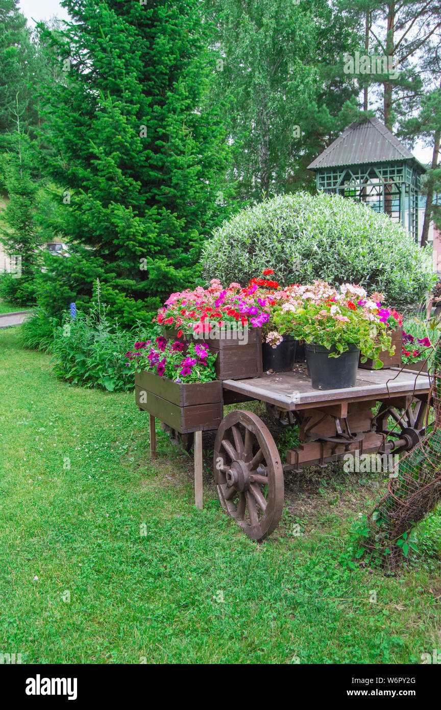Old wooden vintage trolley with flower pots and boxes with colorful ...