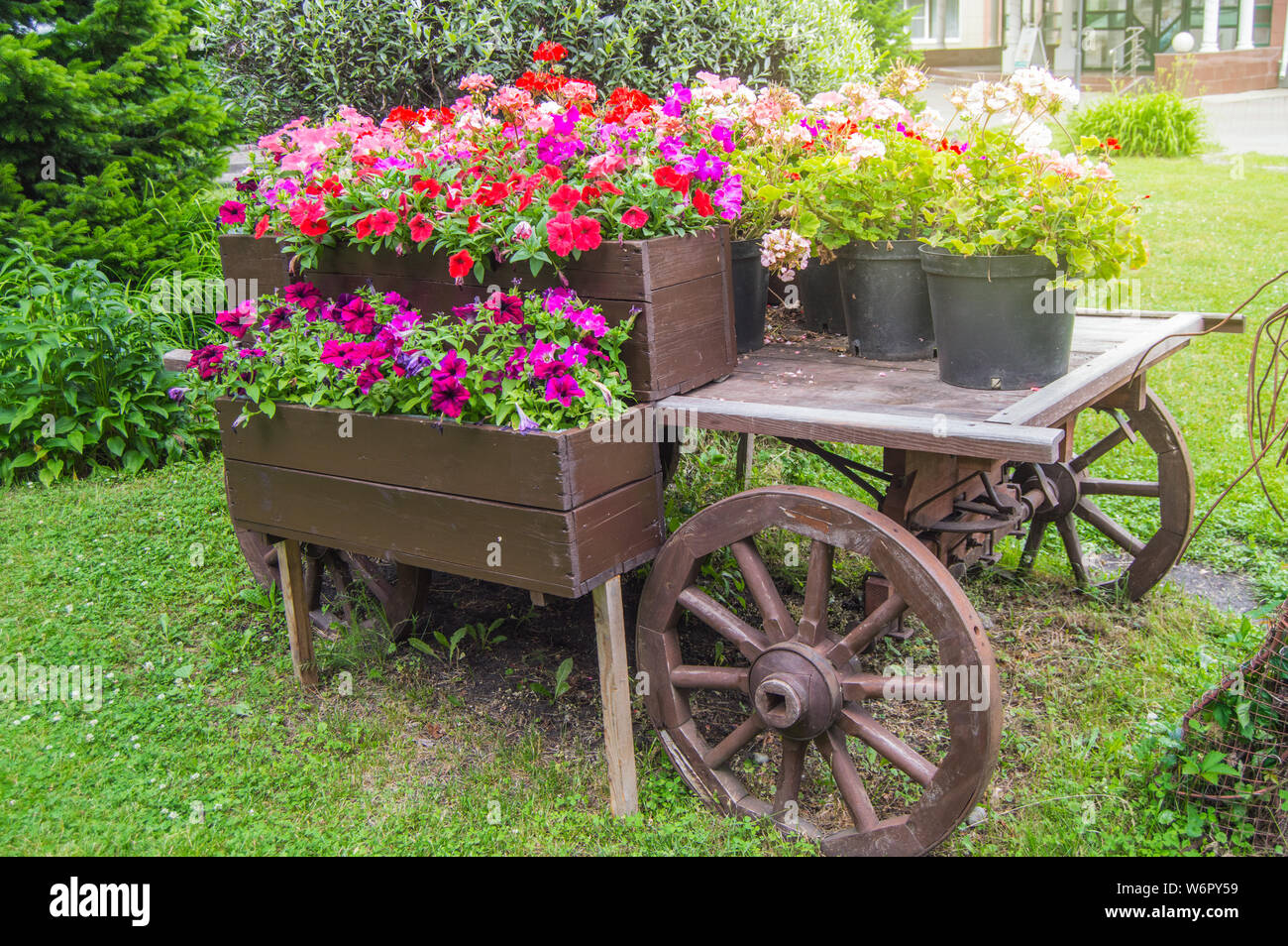 Old wooden vintage trolley with flower pots and boxes with colorful ...