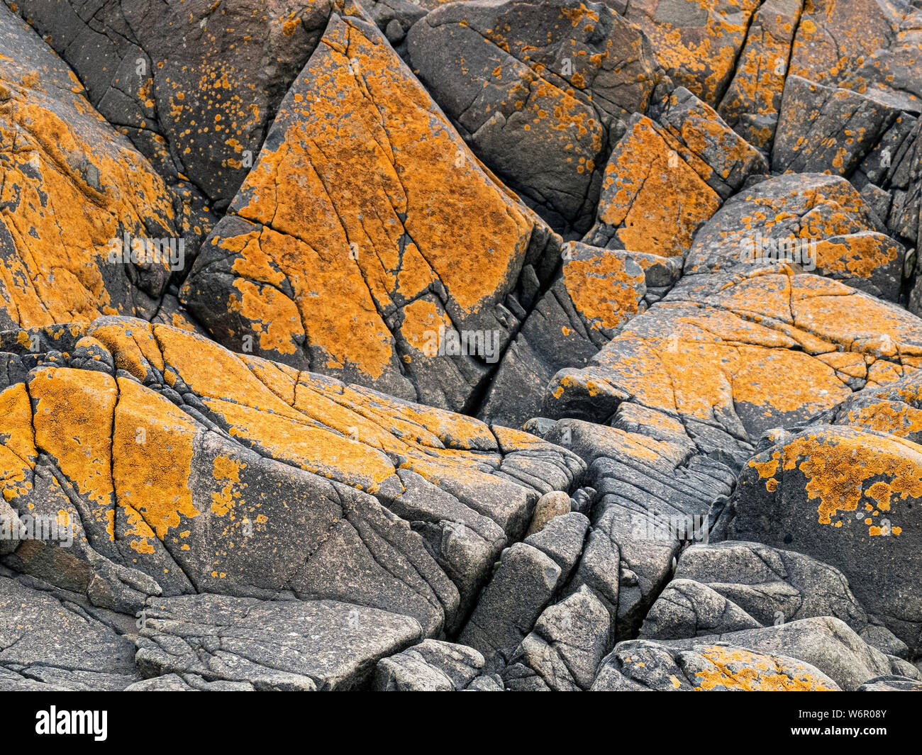 Yellow algae rocks hi-res stock photography and images - Alamy