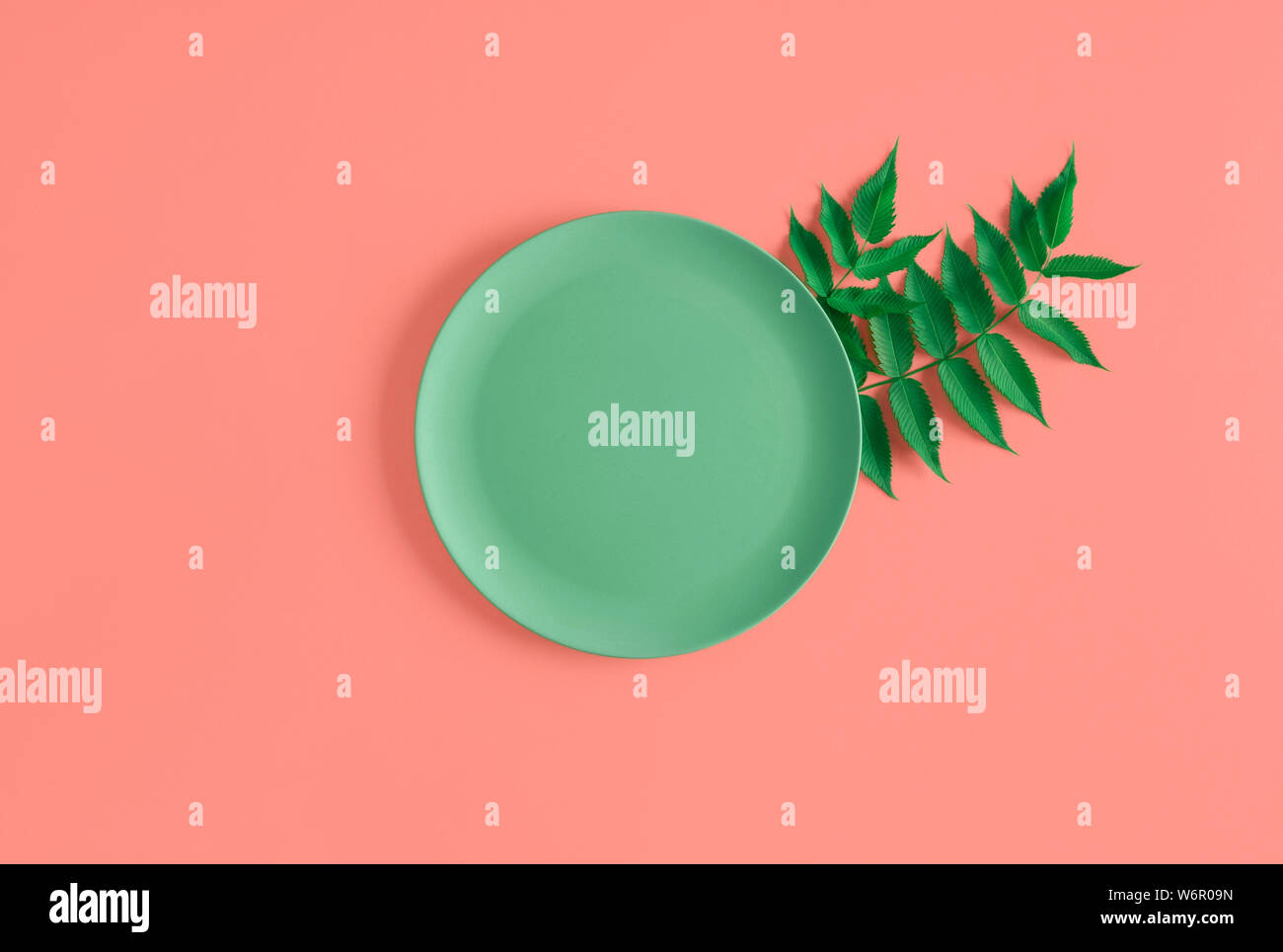 Empty green platter on green tree twigs on a coral colored background ...
