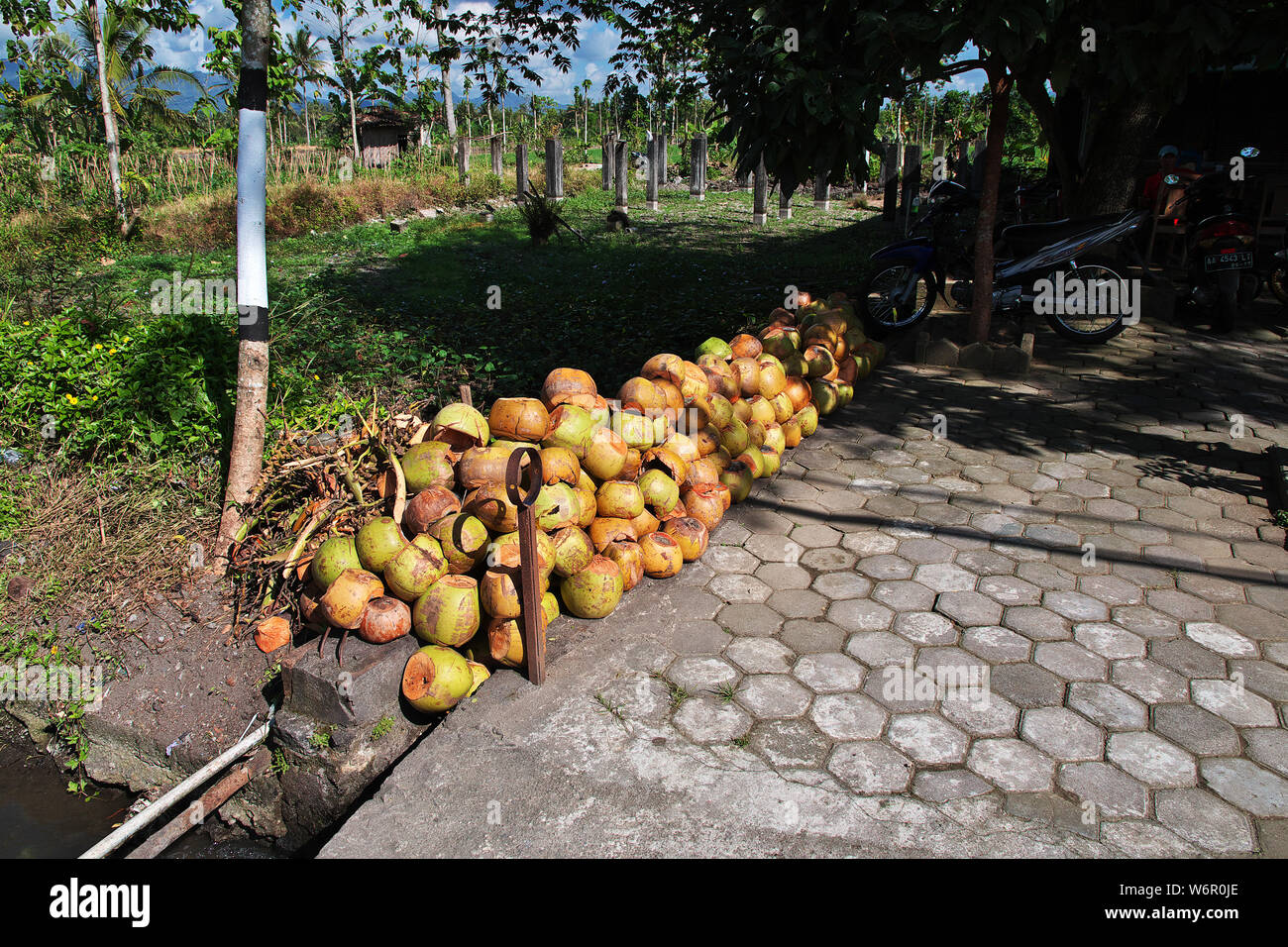 The cafe in Java island, Indonesia Stock Photo - Alamy