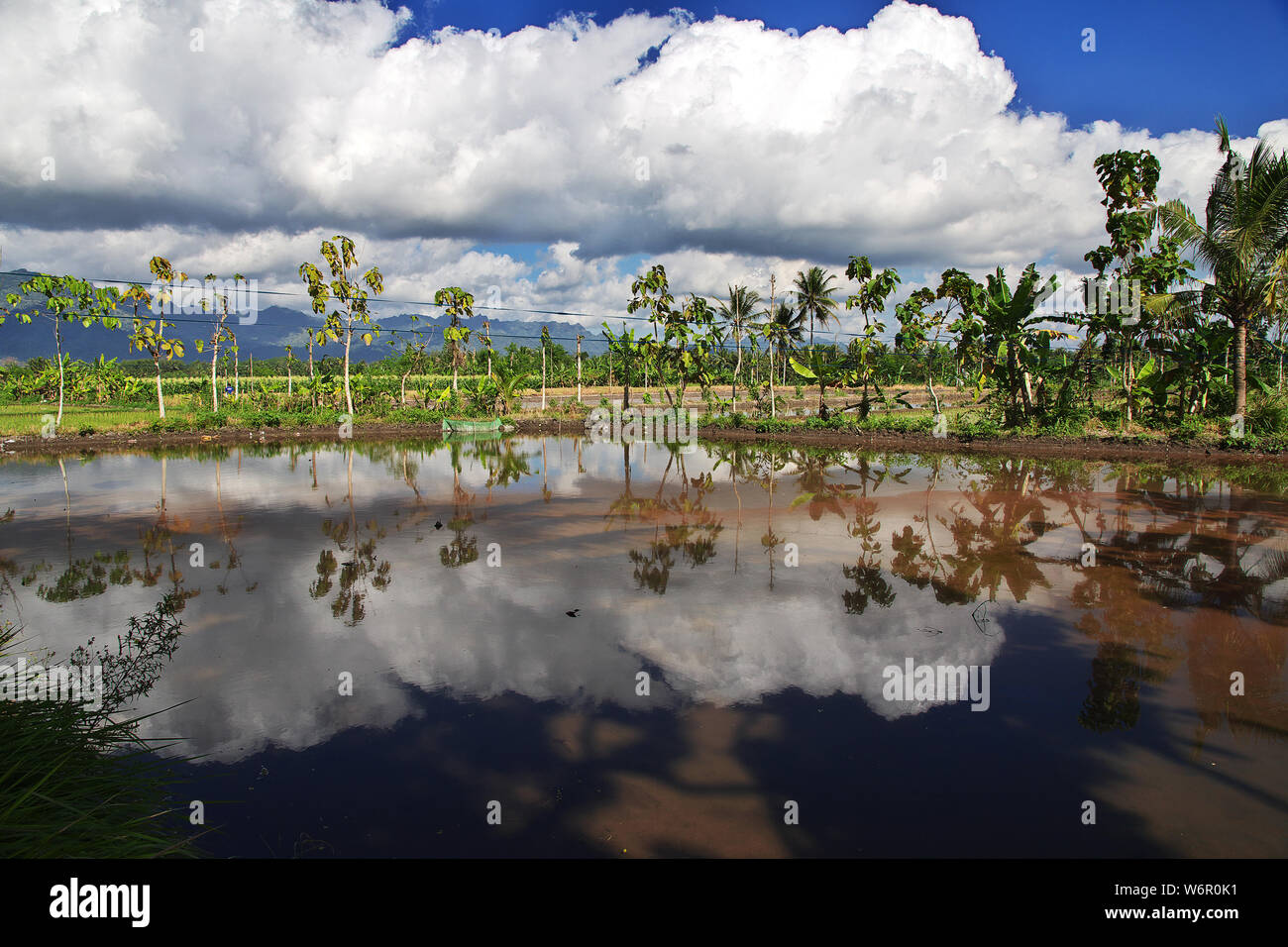 Rice fields in village of Indonesia Stock Photo - Alamy