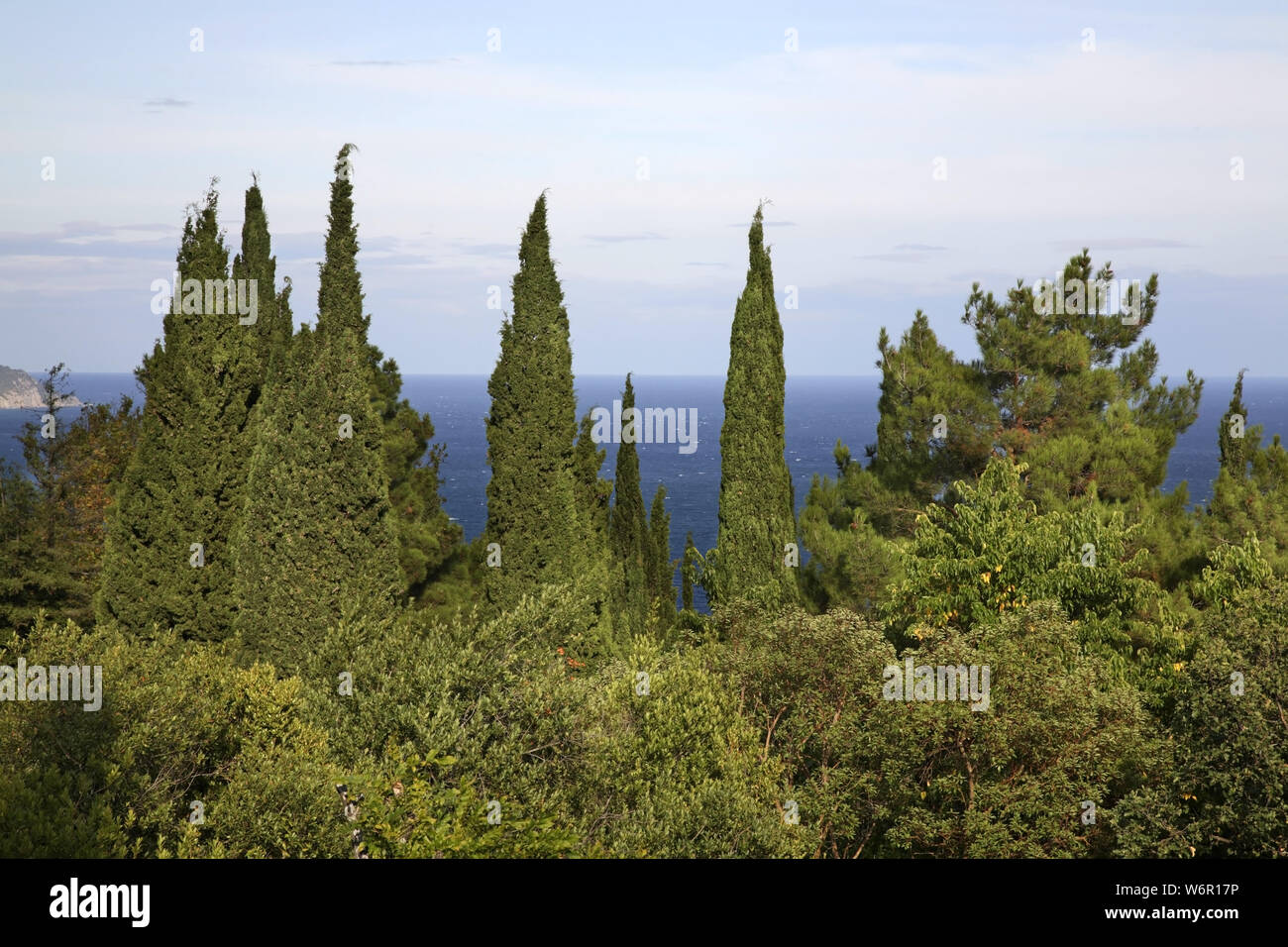 Livadia park hi-res stock photography and images - Alamy