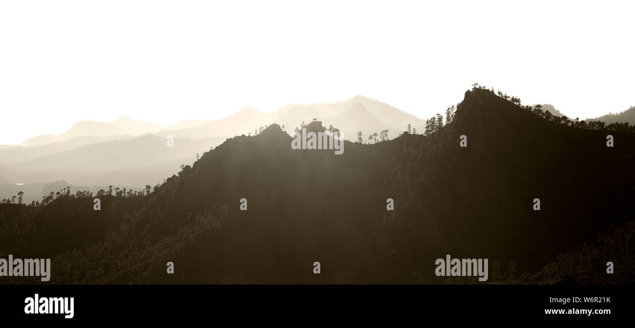Gran Canaria, July, view over sparse pine forest of nature park ...