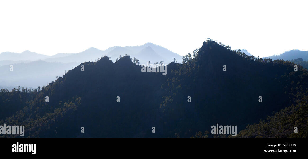 Gran Canaria, July, view over sparse pine forest of nature park ...