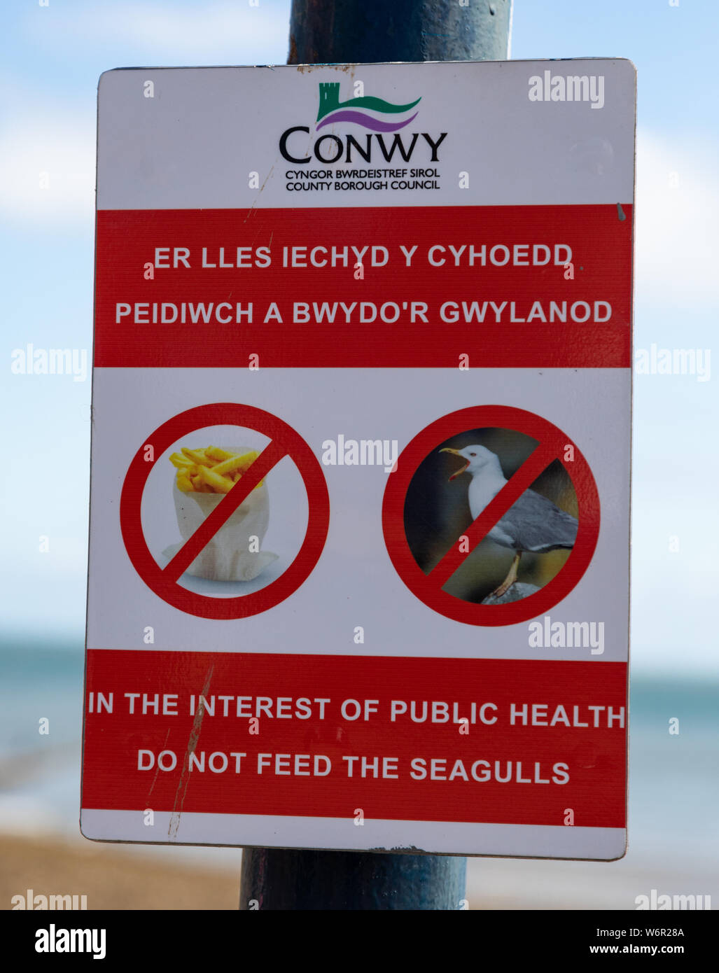 Bilingual sign in English and Welsh warning do not feed seagulls ...