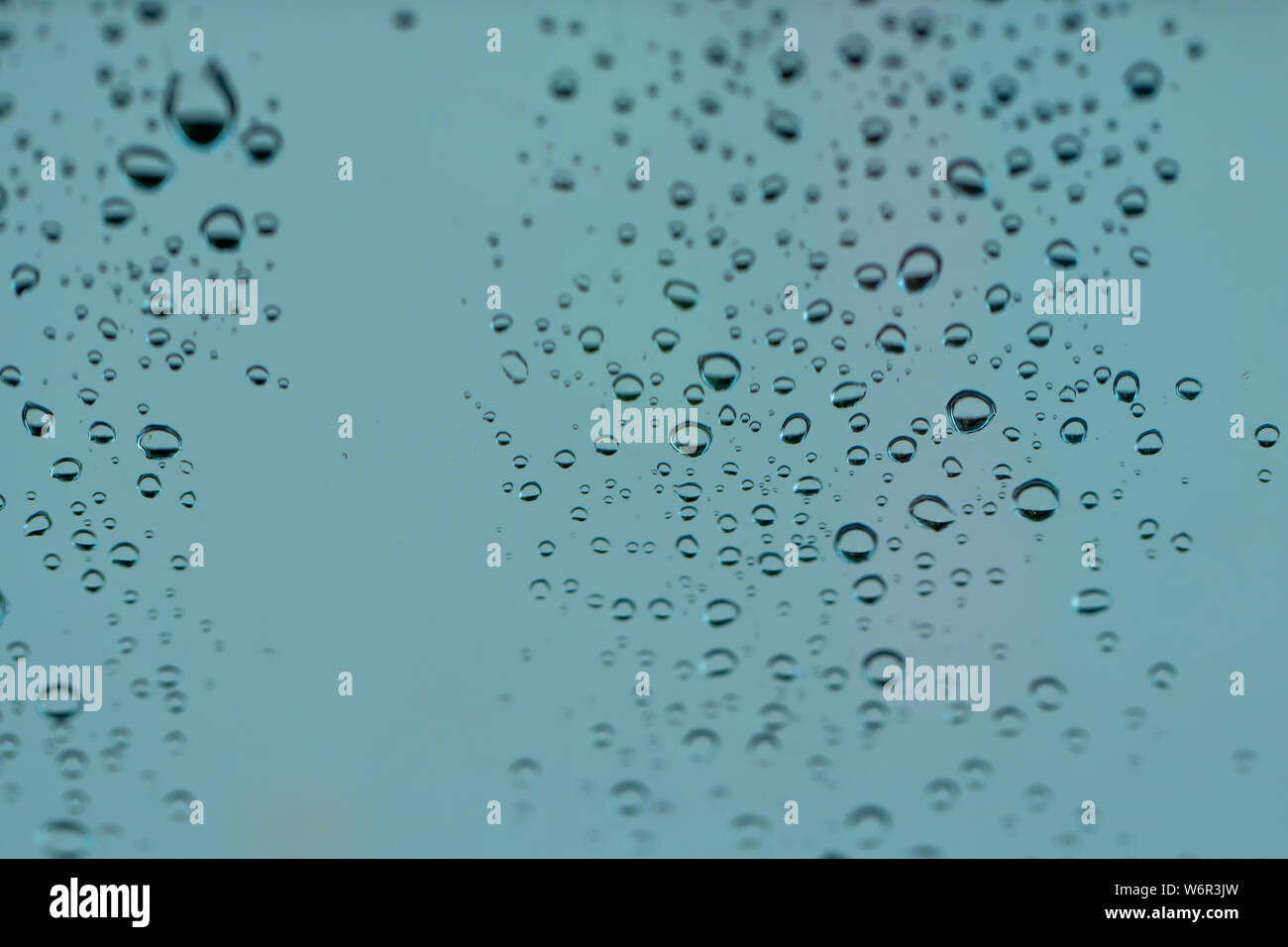 Morning dew droplets condensed on the surface of a window Stock Photo ...