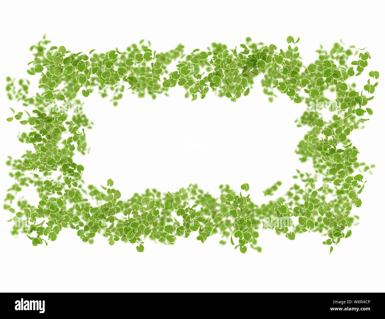 Green tree leaves frame Cut Out Stock Images & Pictures - Alamy