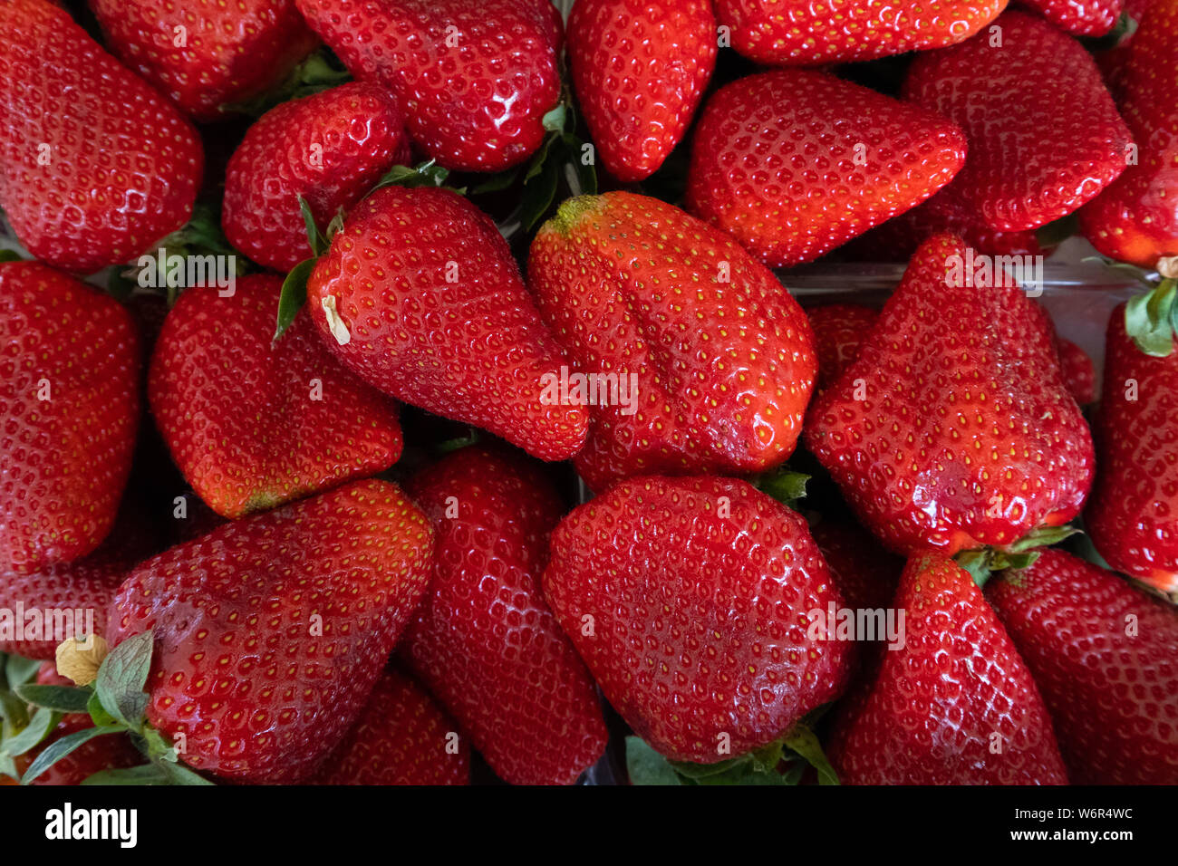 Fresa verde hi-res stock photography and images - Alamy