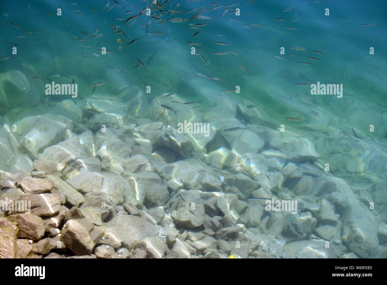 Gacko bosnia hi-res stock photography and images - Alamy