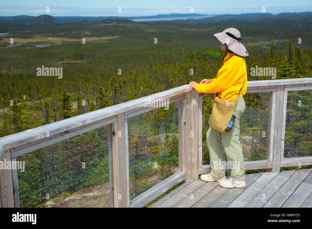 Ochre Hill viewpoint deck, Terra Nova National Park, Newfoundland and ...