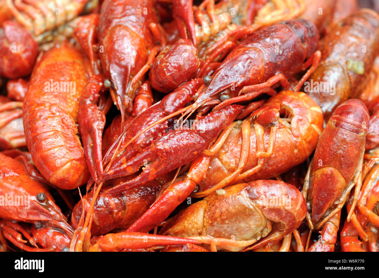 Craw fish hi-res stock photography and images - Alamy