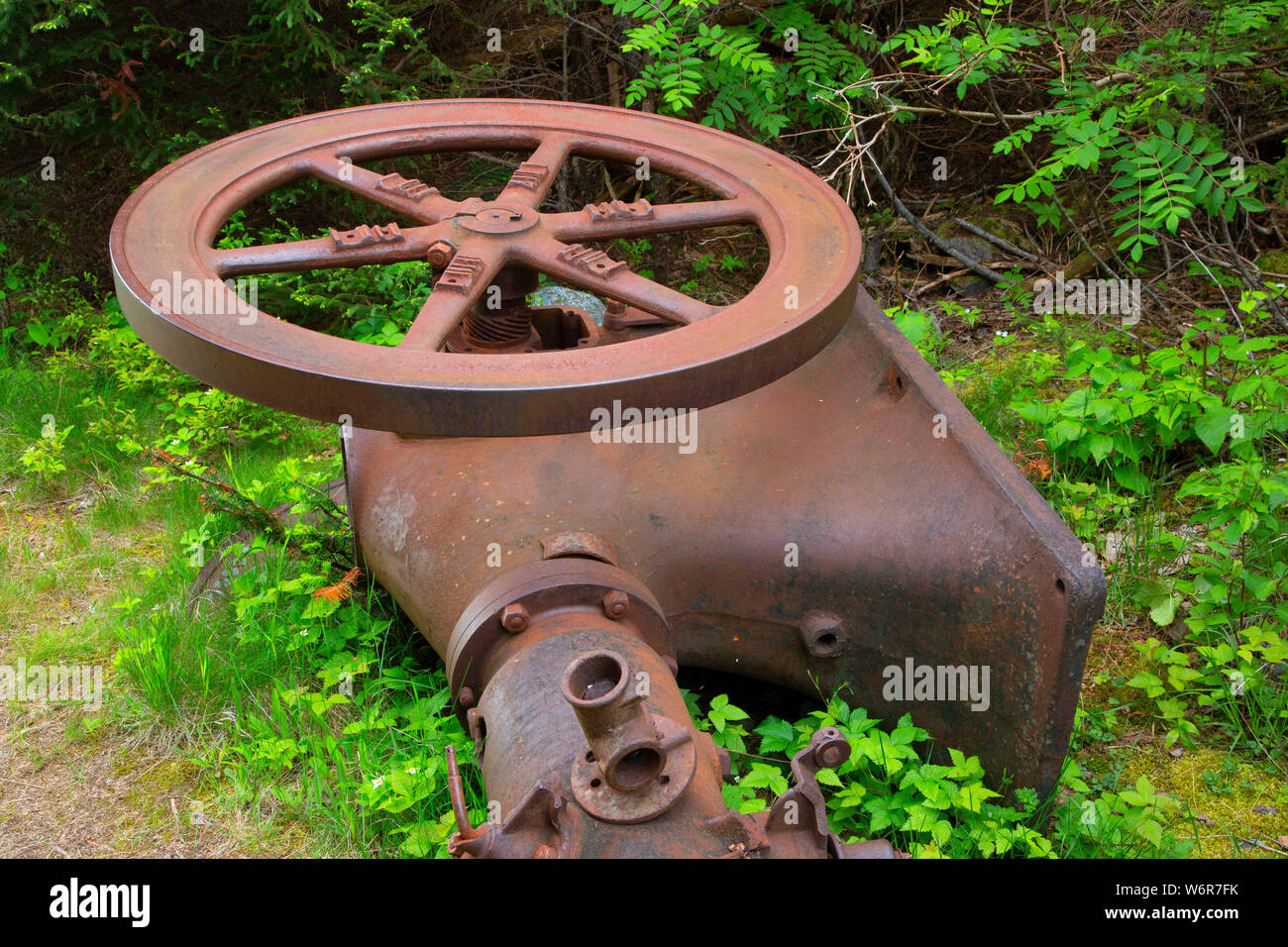 Lane Mill engine parts along Coastal Trail, Terra Nova National Park ...