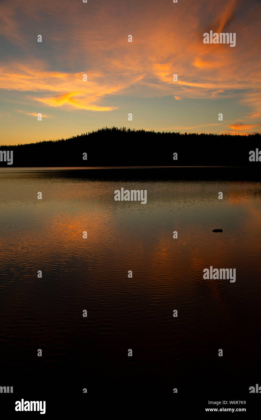 Labrador silhouette at sunset hi-res stock photography and images - Alamy
