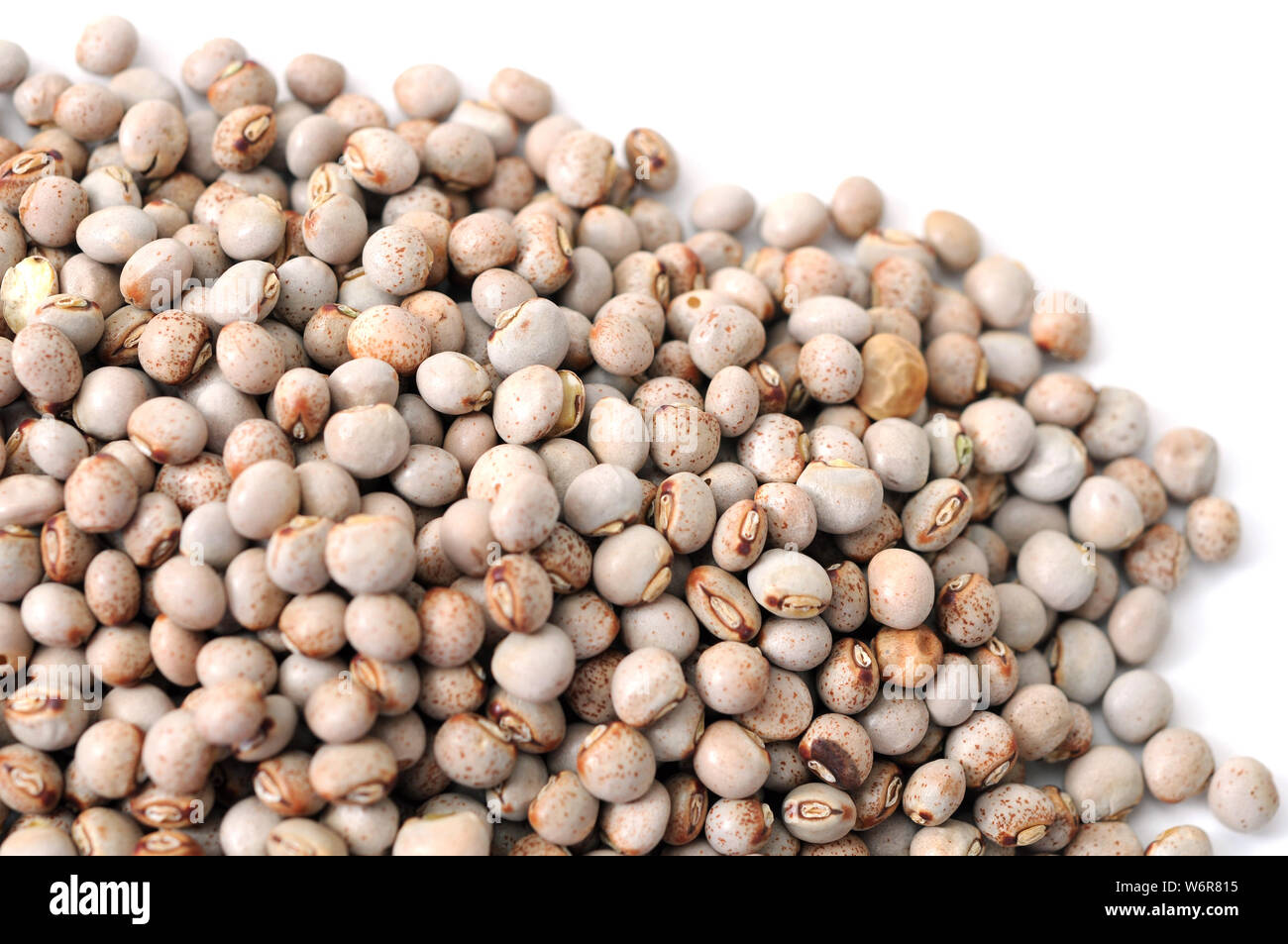 closeup of pigeon pea on white background Stock Photo - Alamy