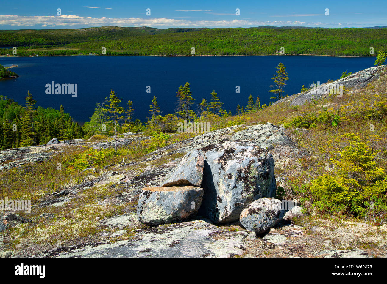 Northeast Arm view from Mill Cove Lookout Trail summit, Terra Nova ...