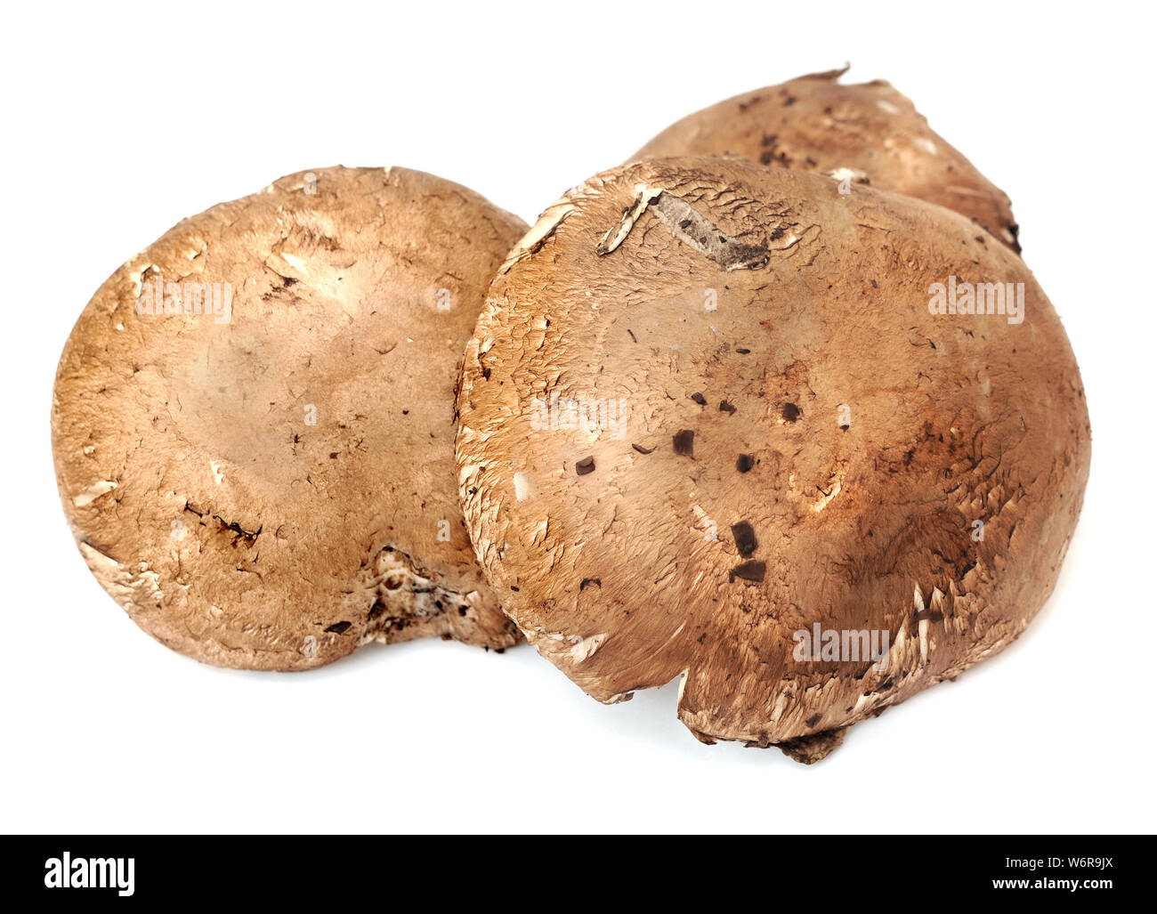 whole portabella mushroom on white Stock Photo - Alamy