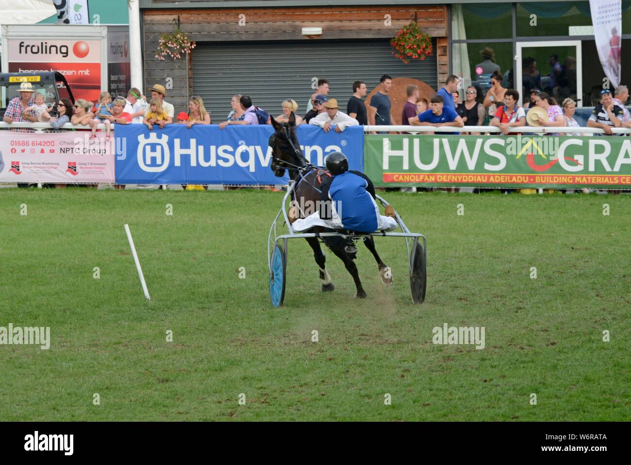 Jockeys and horses compete in trotting harness races at the Royal Welsh ...