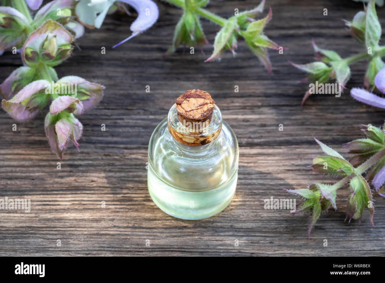 A bottle of essential oil with blooming clary sage twigs Stock Photo ...