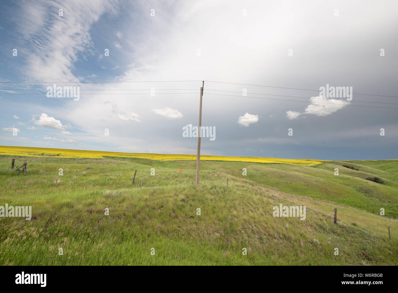 Beautiful scenery great field hi-res stock photography and images - Alamy
