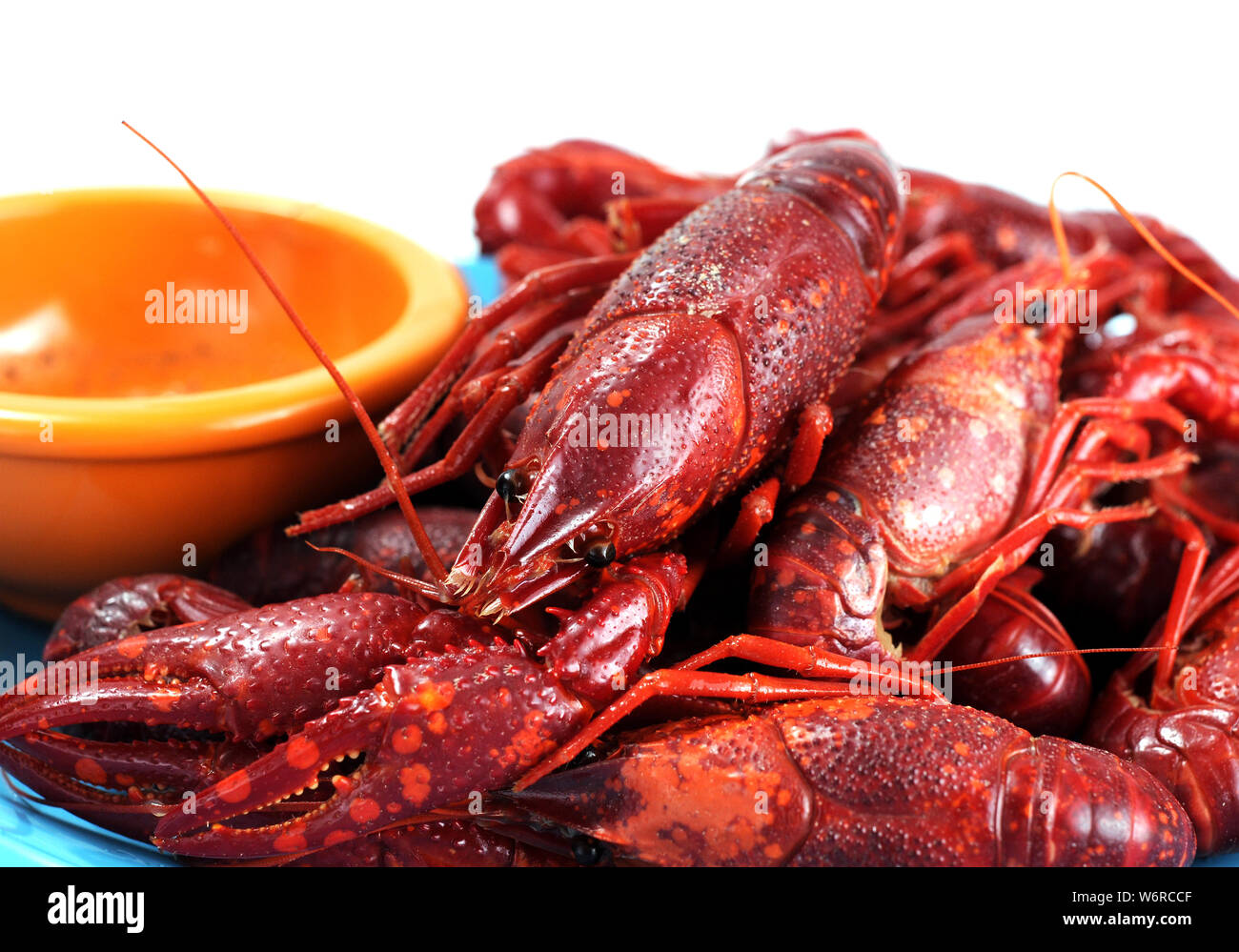 steamed crawfish on dish isolated on white background Stock Photo - Alamy