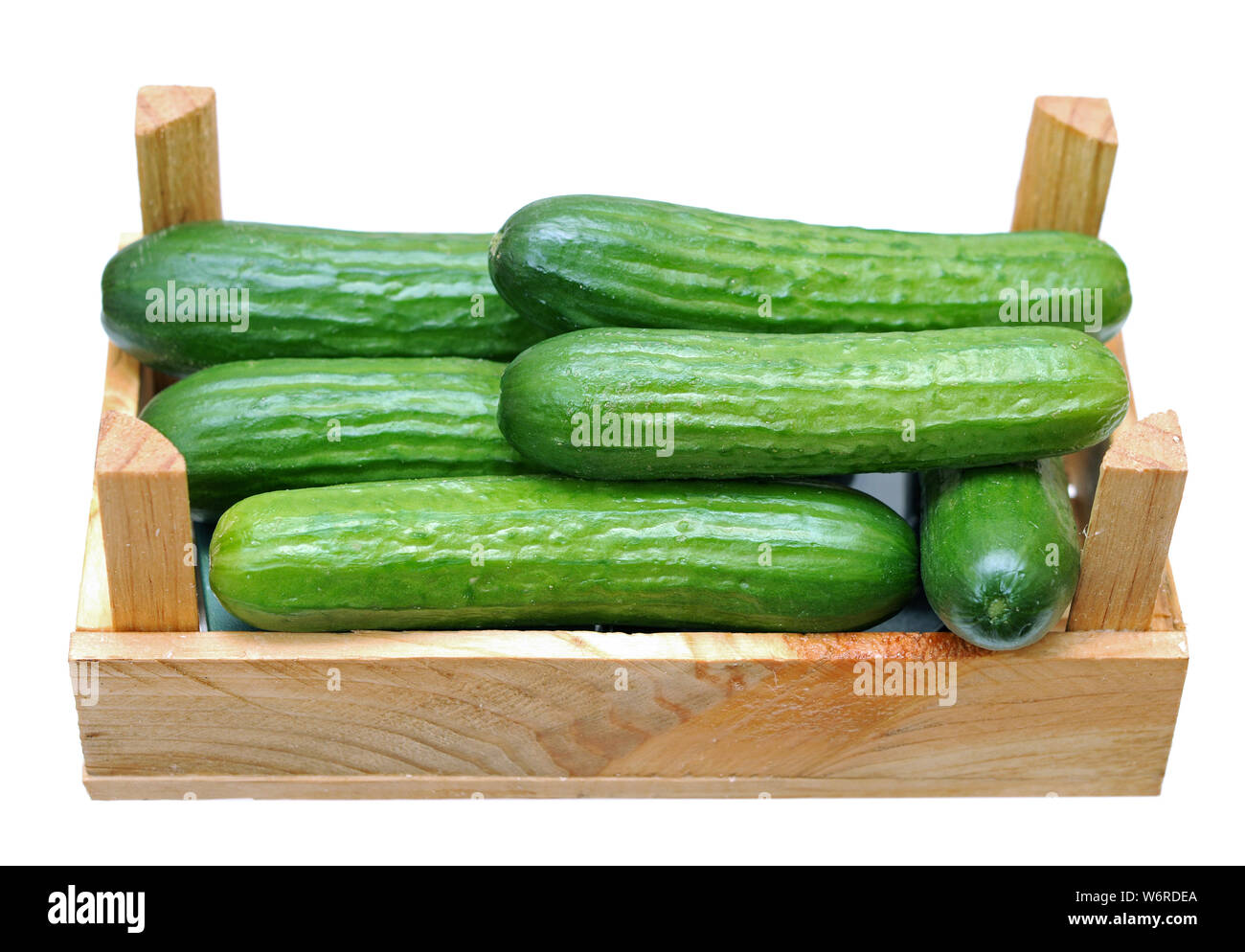green mini cucumbers isolated on white background Stock Photo - Alamy