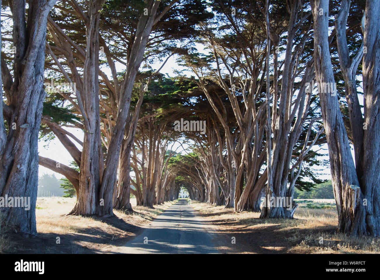 Point Reyes - California Stock Photo - Alamy