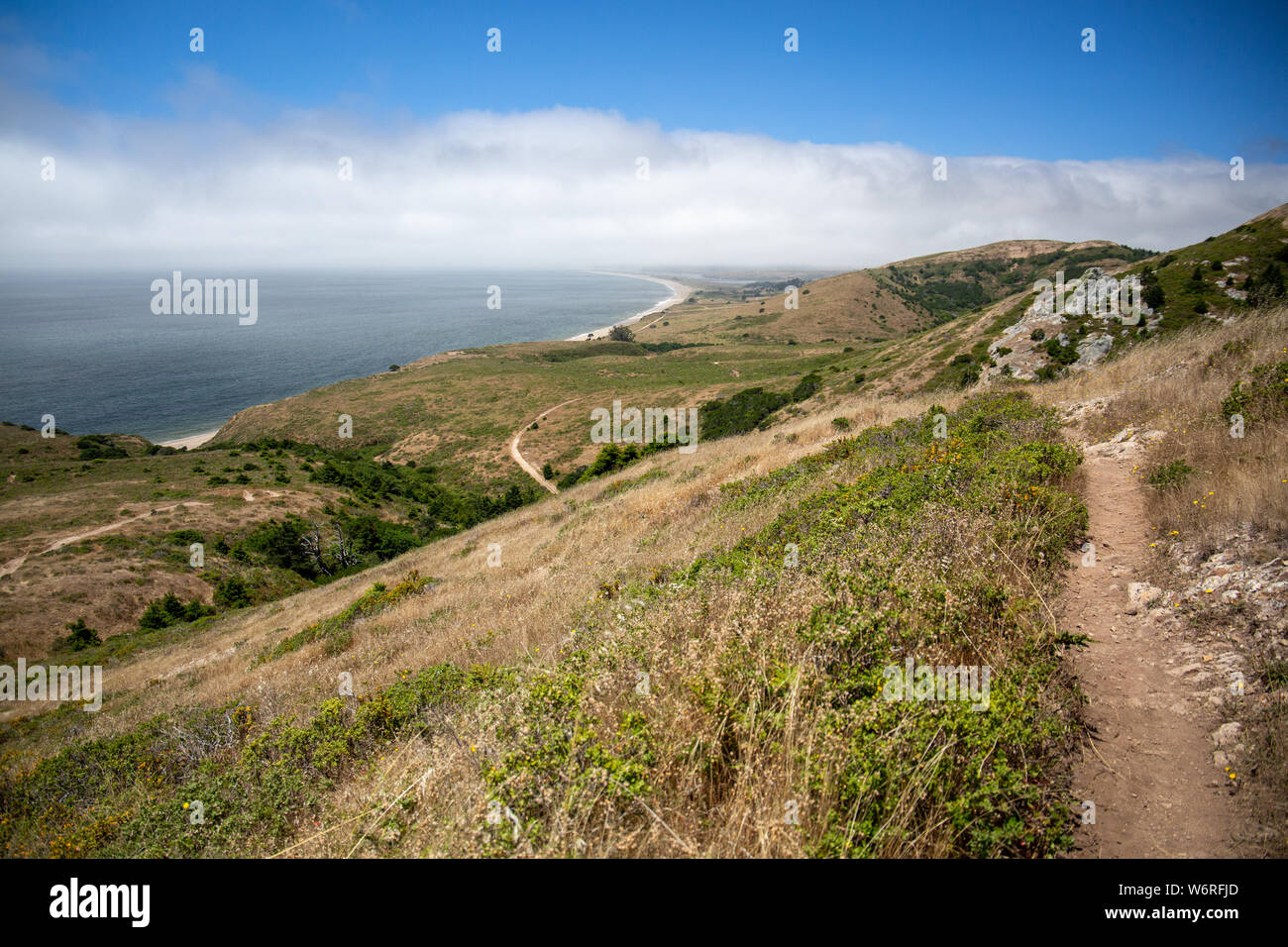 Point Reyes - California Stock Photo - Alamy