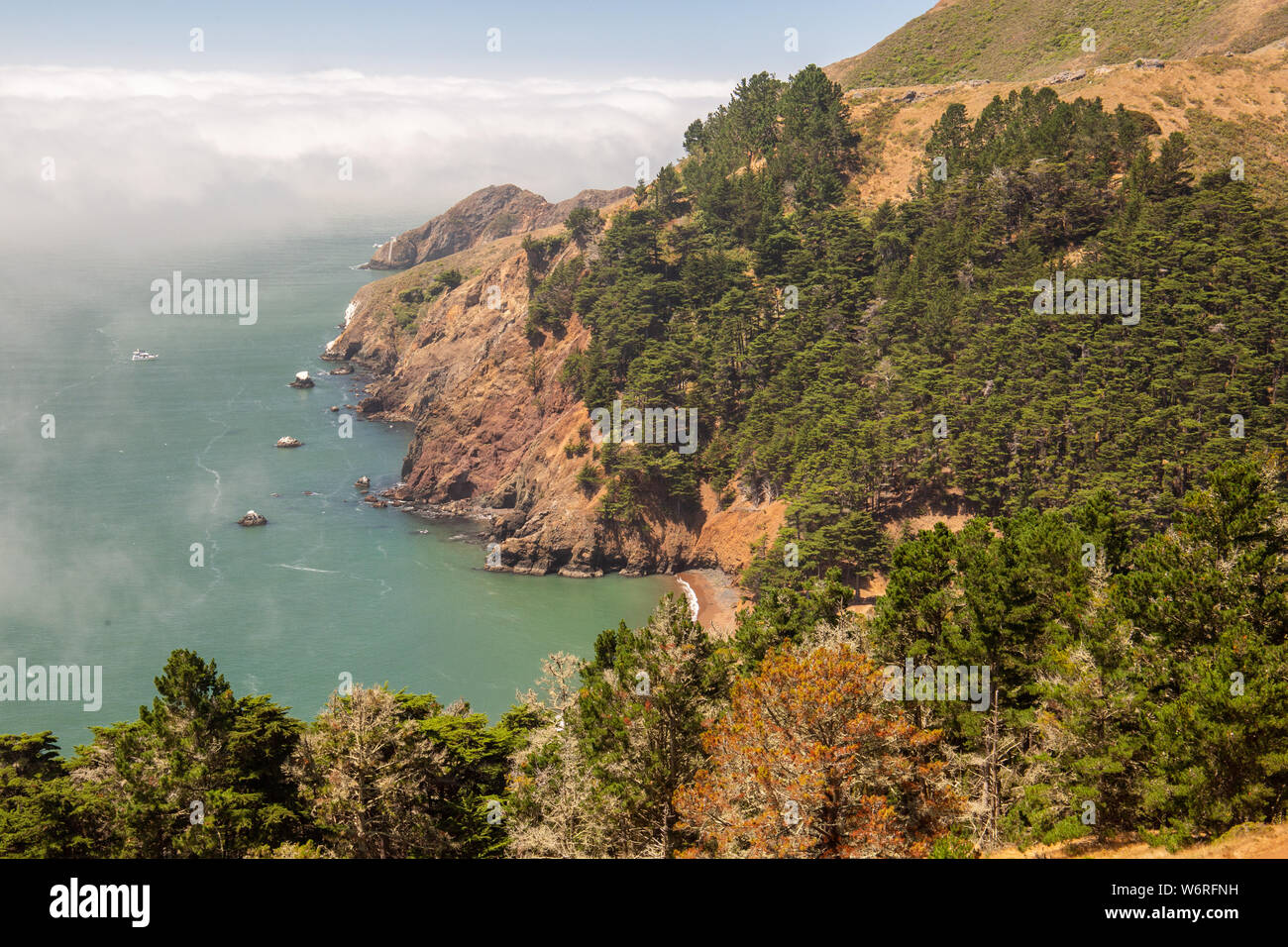 Point reyes and california hi-res stock photography and images - Alamy