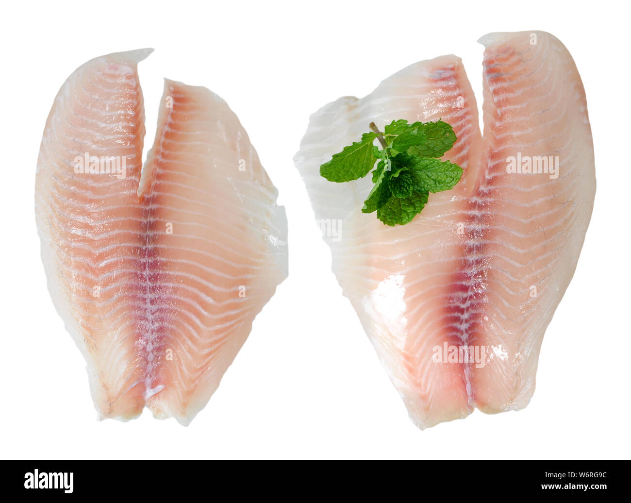 tilapia fillet fish and mint isolated on white background Stock Photo ...