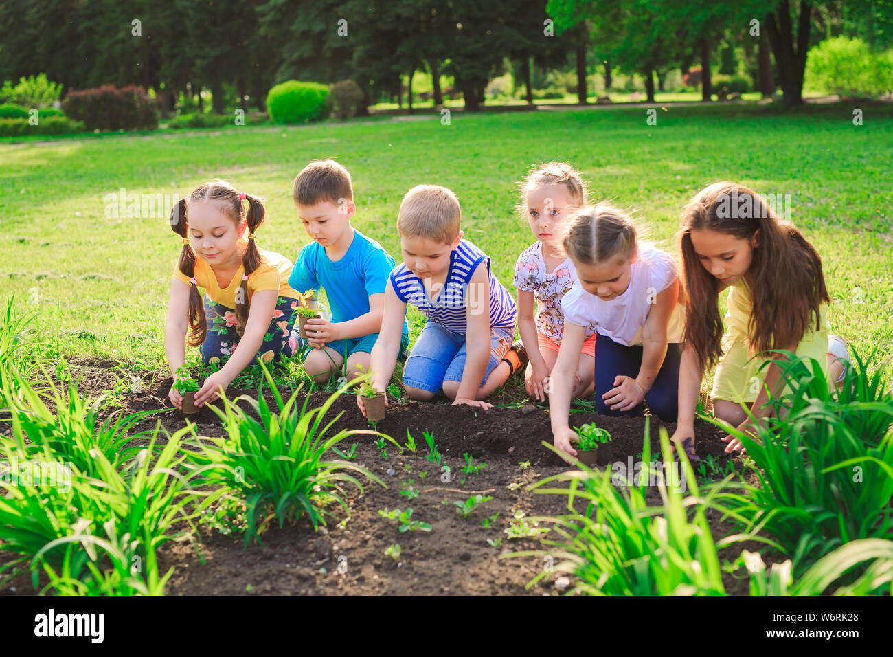 Children's hands planting young tree on black soil together as the ...
