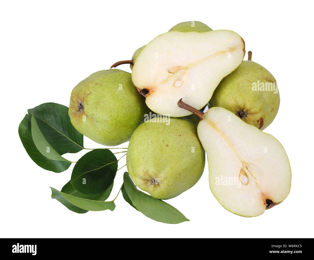 Asian pear tree leaves hi-res stock photography and images - Alamy