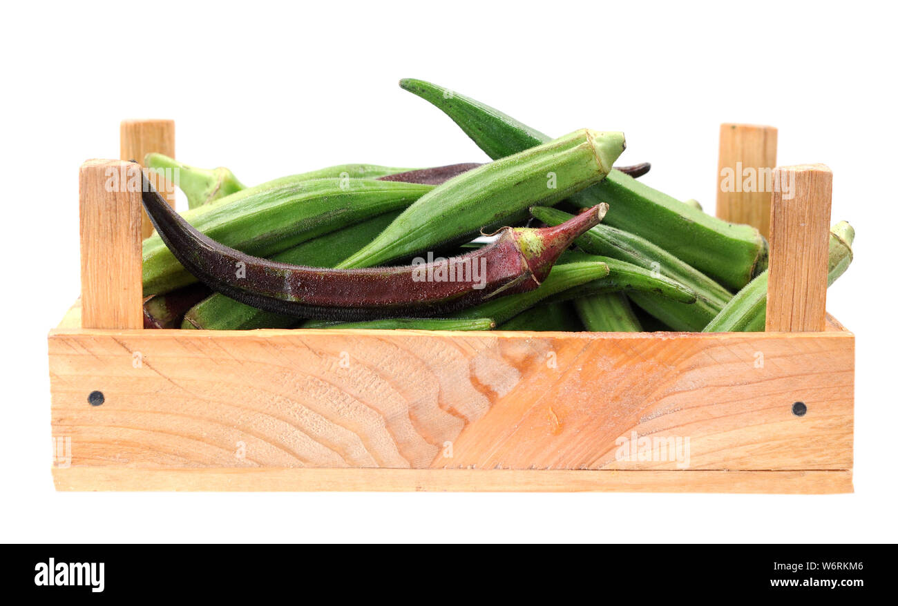 purple and green okra (Abelmoschus) in wooden crate isolated on white ...