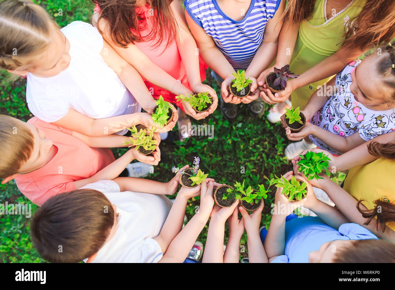 Plant nurture hi-res stock photography and images - Alamy