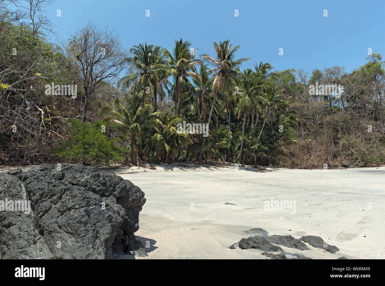 tropical palm beach on the cebaco island panama Stock Photo - Alamy