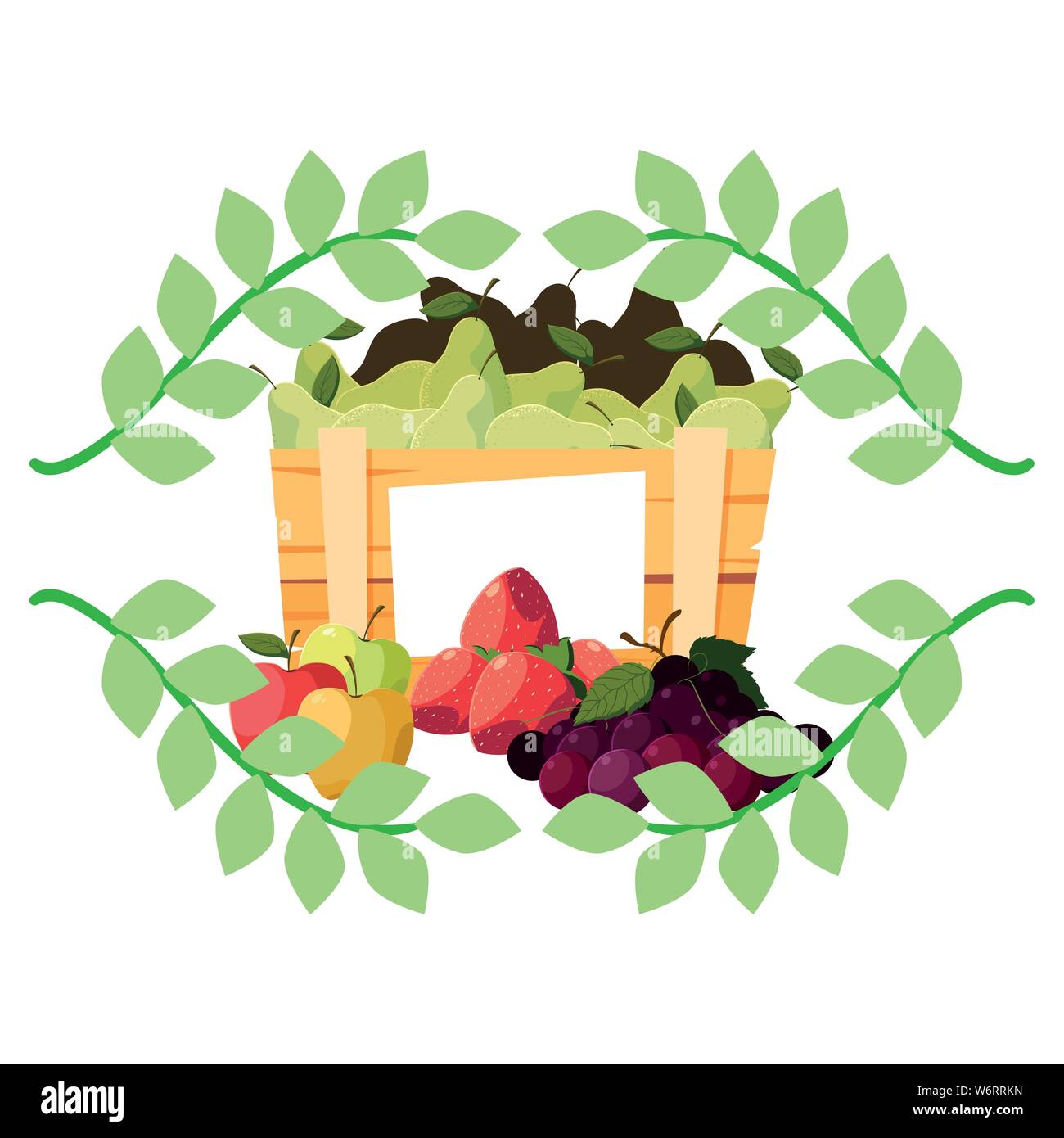pear grape apple fresh fruit emblem organic vector illustration Stock ...