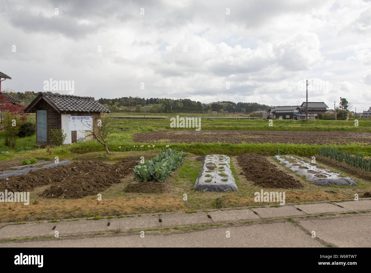 ´chuba hi-res stock photography and images - Alamy