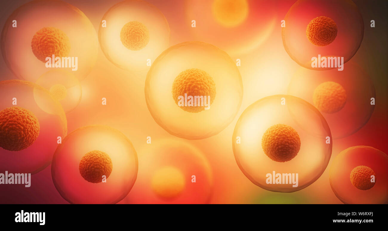 3d illustration of transparent cells with nucleus on purple background ...