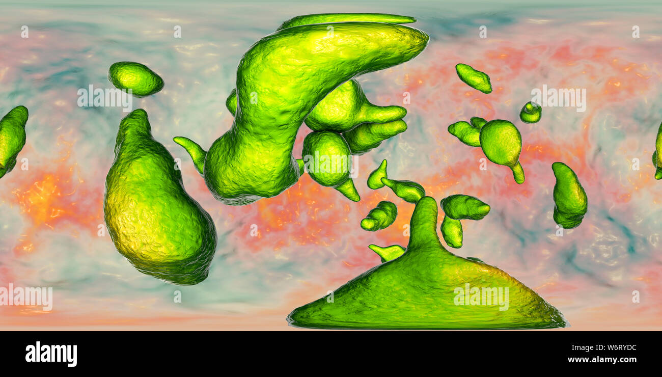 Mycoplasma genitalium bacteria, 360 degree panorama view, illustration ...