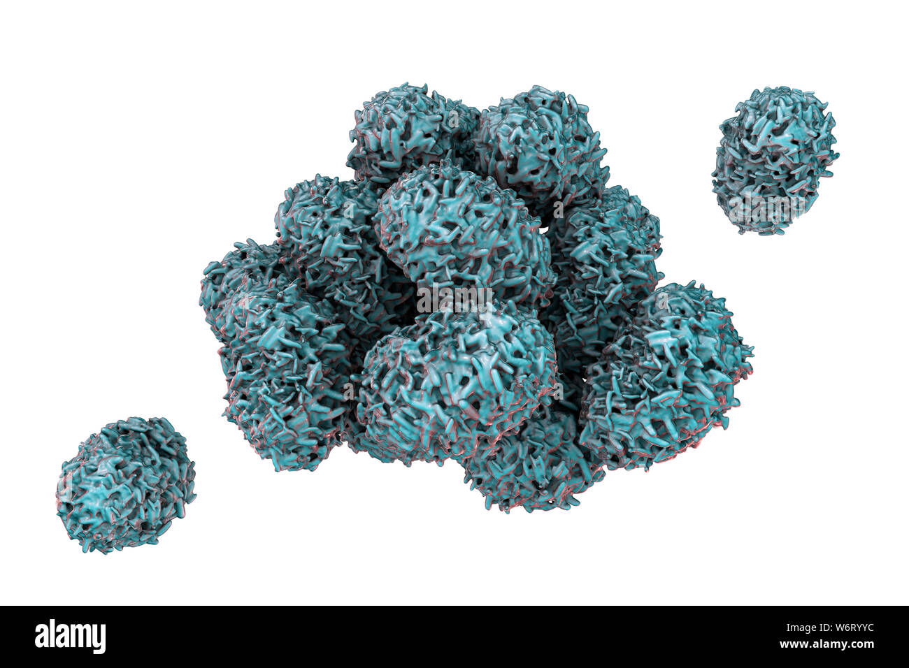 Toxic mould spores (Stachybotrys chartarum), computer illustration ...