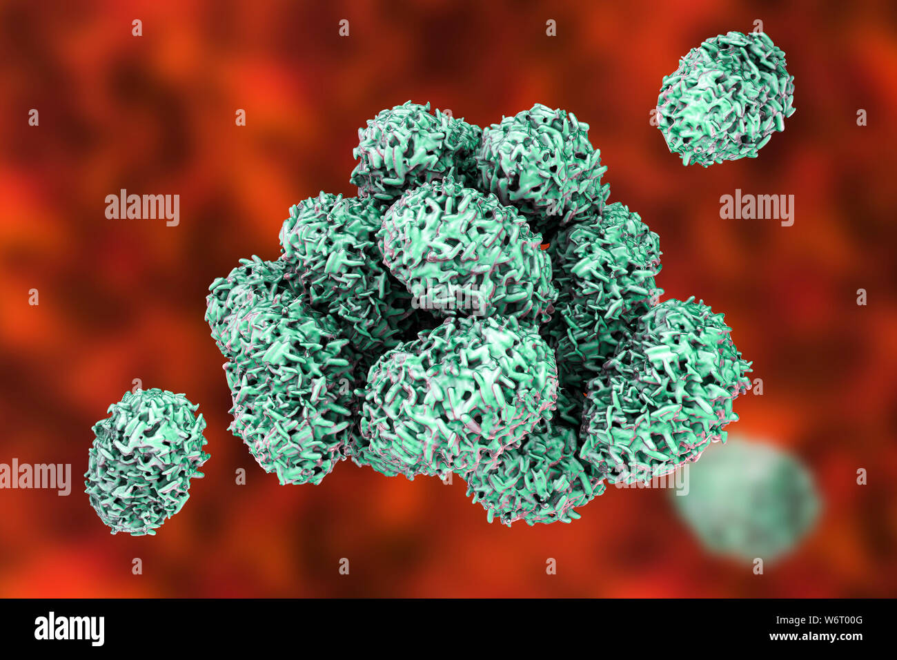 Stachybotrys chartarum hi-res stock photography and images - Alamy